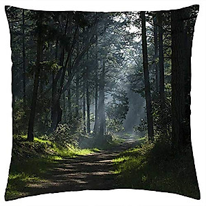 LESGAULEST Throw Pillow Cover (24x24 inch) - Nature Woods Forest Road Trek Trees Green Leaves