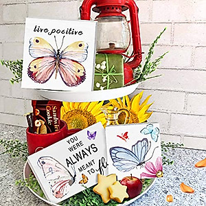 GSS Designs Butterfly Rub on Transfers for Furniture Crafts Wood Scrapbook 2 Sheets 12x16Inch Butterflies Furniture Transfers DIY Decor Transfers Dry Rub On Transfers Stickers