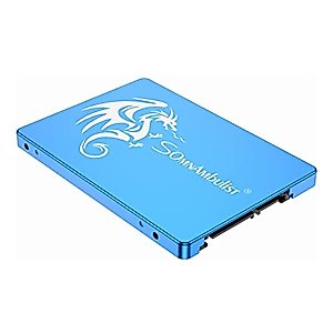 Somnambulist 2.5" Built-in SSD Hard Disk SATA3 120GB 240GB 60GB SSD (Blue Dragon-120GB)