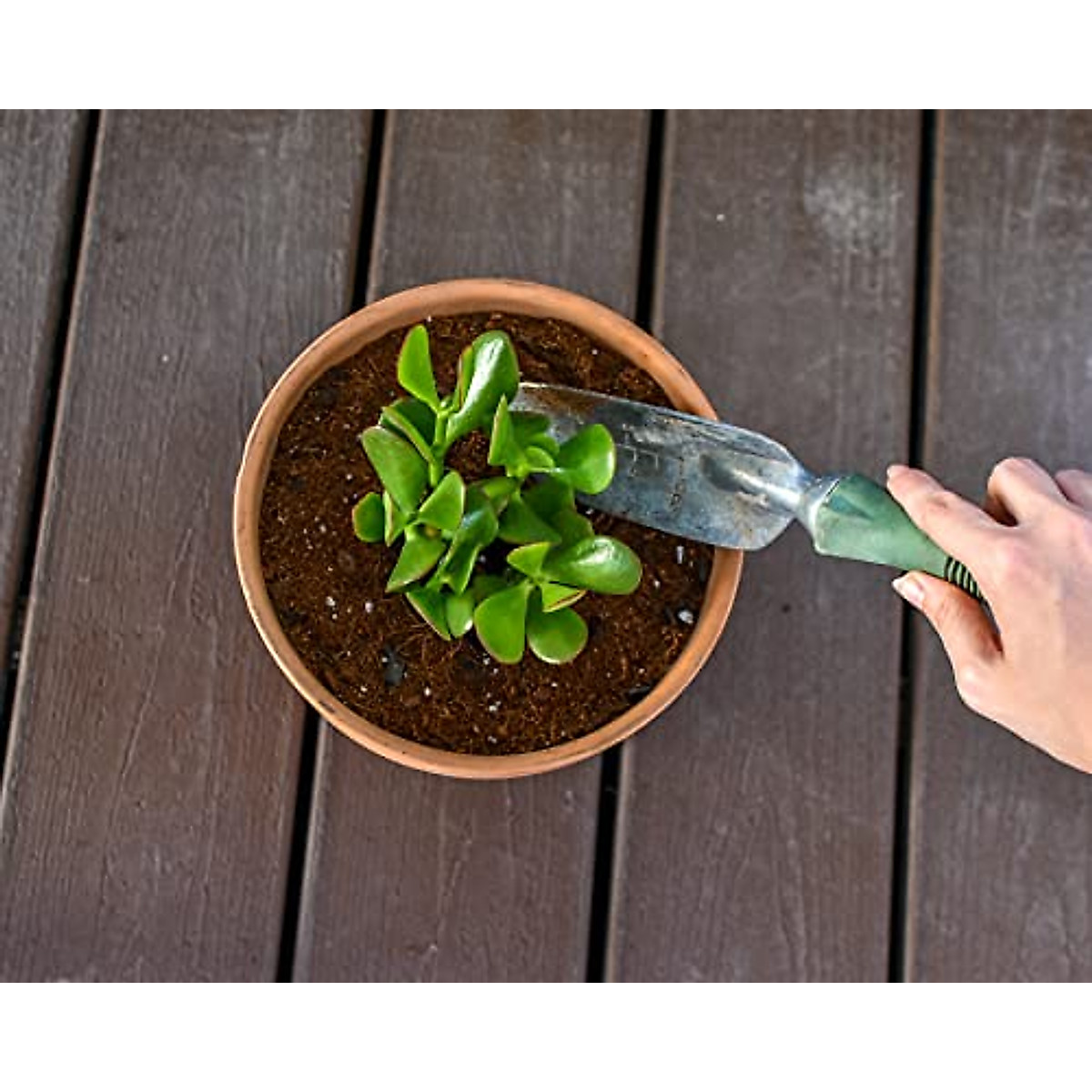 Jade Plant Potting Soil Mix (8 Quarts), Hand Blended Additive for Jade Succulents