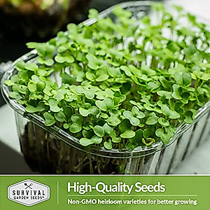Survival Garden Seeds Broccoli Microgreens for Sprouting & Growing - 3 Seed Packs to Sprout Green Leafy Micro Vegetables - Grow Your Own Mini Windowsill Garden Indoors - Non-GMO Heirloom Variety