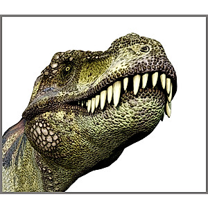 Brainstorm Toys Dinosaur Projector and Nightlight