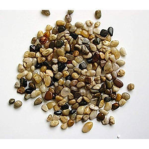 Athena's Garden Modern Black Pot with Polished River Rocks and Lichen. Live Heart-Shaped Hoya Plants Square, Green