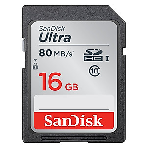 SanDisk Ultra 16GB (10 Pack) Class 10 SDHC Genuine Flash Memory Card (SDSDUNC-016G-GN6IN) Bundle with Everything But Stromboli Card Reader
