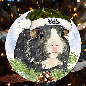 Customized Christmas Tree Decoration - Guinea Pig in Santa Hat, 3" Xmas Pet Present & Stocking Stuffer Gift