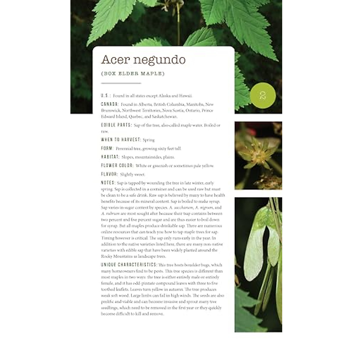 276 Edible Wild Plants of the United States and Canada: Berries, Roots, Nuts, Greens, Flowers, and Seeds in All or the Majority of the US and Canada