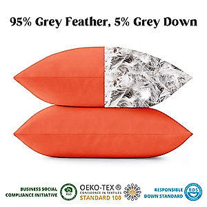 puredown® Outdoor Water Resistant Throw Pillows, Feathers and Down Filled Decorative Pillows for Couch Cushion Garden Bench 12 x 20 Inch, Set of 2, Orange