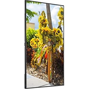 NEC 55In LCD 1920x1080 C551 HDMI DP (805736063684)