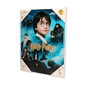 Harry Potter - Impression en Verre - Philosopher's Stone - 30X40 Cm