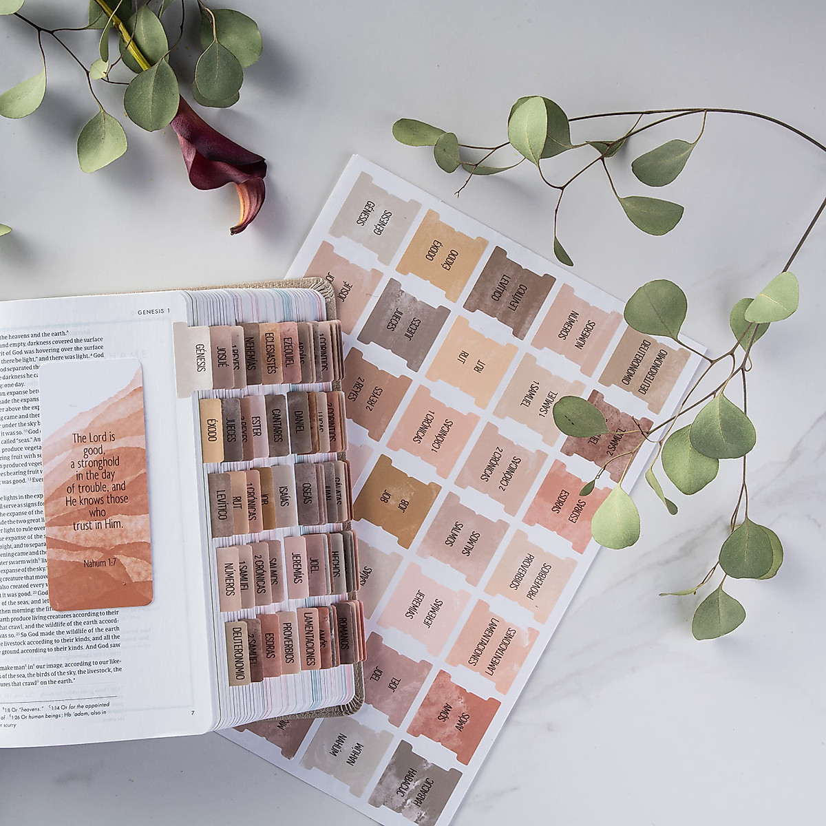 DiverseBee Spanish Bible Tabs (Large Print, Easy to Read), Bible Journaling Book Tabs, Christian Gift, 66 Bible Tabs Old and New Testament, Includes Catholic Books and 9 Blank Tabs (Paz)