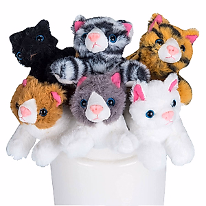 PASSIONFRUIT Plush Stuffed Toy Cat Set – Set of 6 Stuffed Toys for Kids – 6 Inches Long – Bright & Vibrant Colors – Soft Toy Set for Boys & Girls