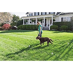 PetSafe Boundary Flags (Bundle of 50), For Use with PetSafe's Dog and Cat In-Ground Fences and Wireless Fences - From the Parent Company of INVISIBLE FENCE Brand, White, 3"x2.5" flags