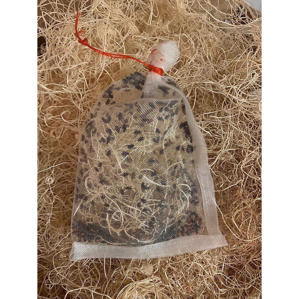 C & C 300 Live Ladybugs - Guaranteed Live Delivery! - Ladybugs Live for Garden