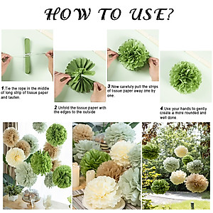 Olive Sage Green Tissue Paper Pom Poms Safari Jungle Party Decorations Paper Flowers Decorations Natural Green Boho Hanging Décor for Birthday Baby Shower Bridal Wedding Party Supplies