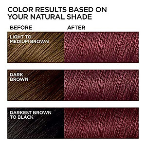 L'Oreal Paris Feria Multi-Faceted Shimmering Permanent Hair Color, 41 Crushed Garnet, Pack of 2 Hair Dye