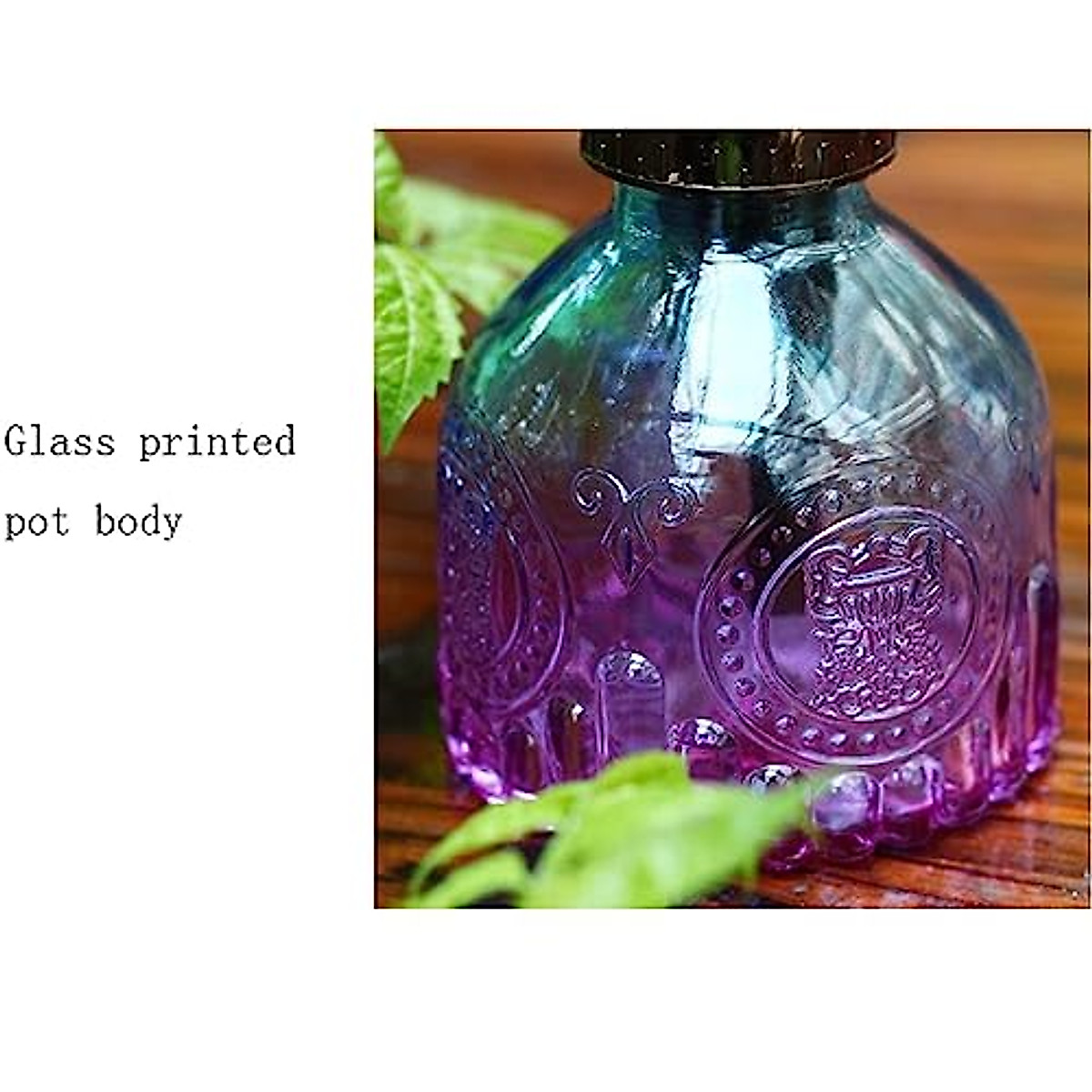 Watering Can Glass Spray Bottle, 200ML Plant Mister, Watering Can with Top Pump for Indoor House Plants, Garden,Cleaning Plant Watering (Color : E)