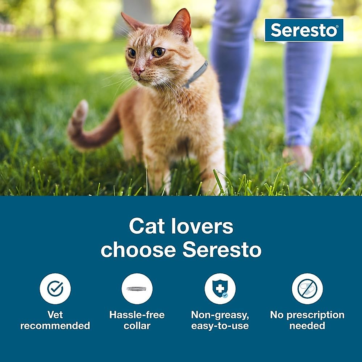 Seresto Small Dog for Dogs Under 18 lbs. & Seresto for Cats Vet-Recommended Flea & Tick Treatment & Prevention Collars | 8 Months Protection Each