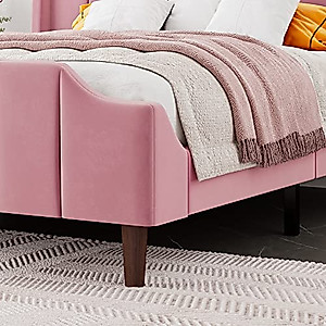 HOOMIC Queen Size Upholstered Platform Bed with Curved Velvet Wingback Headboard and Footboard,Solid Wood, No Box Spring Needed, Easy Assembly, Pink