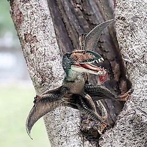 Pterodactyl Dinosaur Action Figures Realistic Flying Toy | Movable Mouth | Pteranodon Dino Toys | Pterosaur Model Toys | Cake Toppers Dinosaur Toys for Boys and Girls