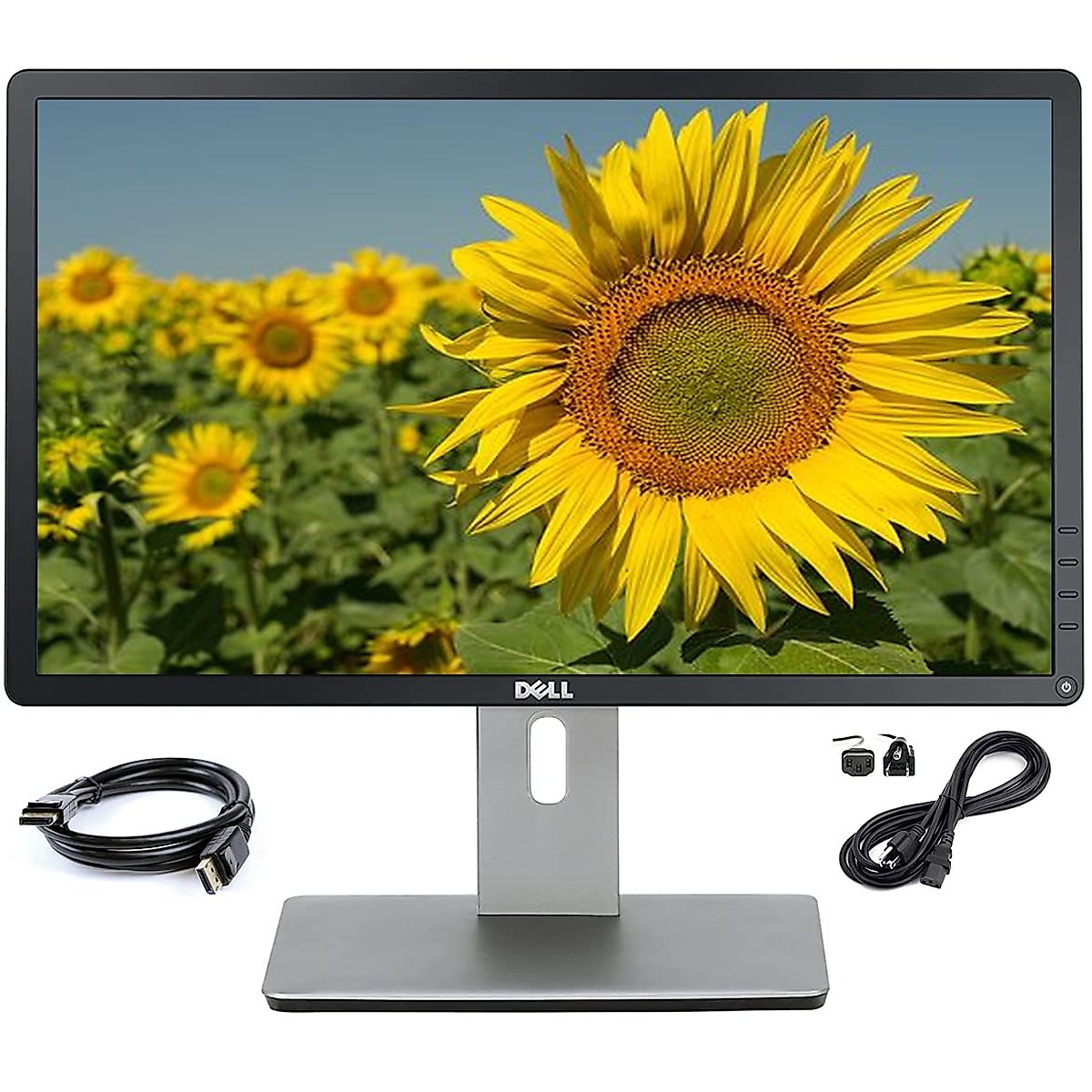 Dell P2014HT Widescreen 20 inch LED Monitor, VGA, Display Port, DVI, 16.7 Million Colors, 178 Degree Viewing Angle, Built-in USB Hub, HD at 60Hz, 8ms Response time (Renewed)