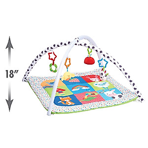 Early Learning Centre Blossom Farm Playmat & Arch, Physical Development, Hand Eye Coordination, Stimulates Senses