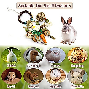 BNOSDM 2 PCS Rabbit Chew Toys for Bunnies Cage Hanging Guinea Pig Chewing Toys Rattan Ring with Snacks Natural Small Animals Teeth Grinding Toy for Hamster Chinchilla Ferret Hedgehog