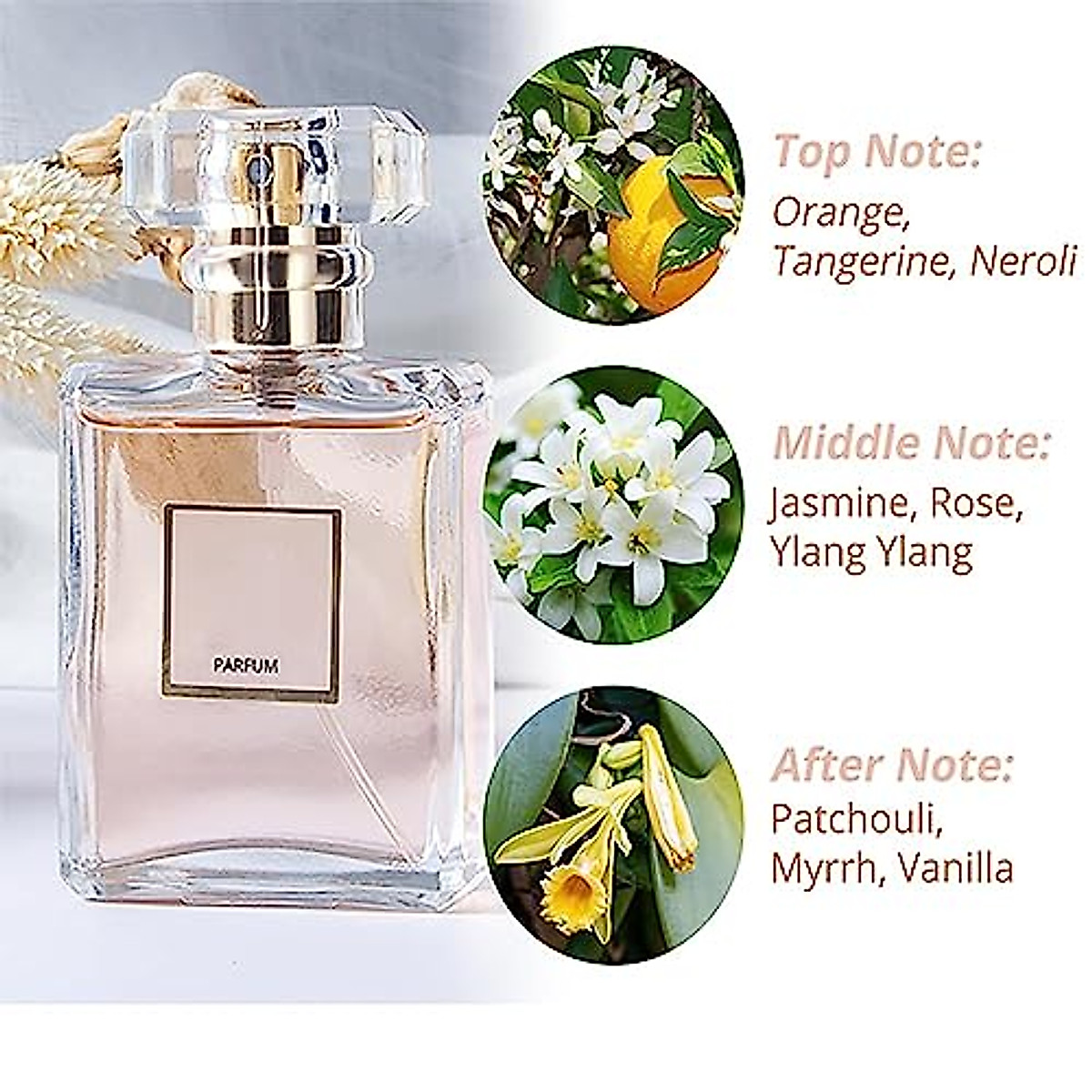 Inalsion flysmus CORA Marissa Pheromone Perfume, CORA Marissa Pheromone Perfume, Marissa Perfume Spray, Flysmus Pheromone Perfume, Pheromone Perfume for Woman to Attract Men (1 Pc)