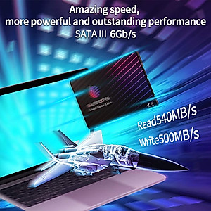 Gamerking SSD 60GB SATAIII 2.5 inch 6Gb/s Internal Solid State Drive for PC Laptop Desktop Hard Drive SSD（60GB 2.5-SATAIII）