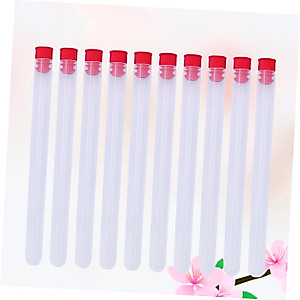 10 Pcs Organizer Craft Storage Containers Storage Container for Small Parts Clear Jar Sewing Tube Bottles for Beads Torage Desktop