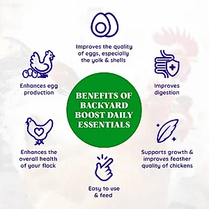 Backyard Boost Daily Essentials Chicken Feed | Palleted High Protein Food for Laying Hens | 2.5 Pound Bag