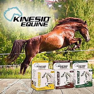 Kinesio Equine Tape - Tex Gold FP Horse Tape  -Tape Made Specifically for Horses  - 2”x 16’ Rolls - Green