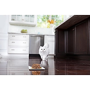 Purina Fancy Feast Wet Cat Food Variety Pack, Medleys Tuna Collection With Garden Greens in Sauce - (12) 3 oz. Cans