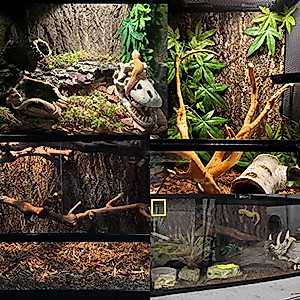 Tfwadmx Cork Tile Terrarium Background Reptile Bark Backdrop Wall Decor 3D Bearded Dragon Tank Climbing Mat Decoration for Gecko Lizard Tortoise Chameleon (2 Pack)