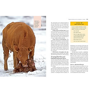 Storey's Guide to Raising Beef Cattle, 4th Edition: Health, Handling, Breeding