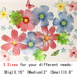 Set of 30 Edible Flowers & Butterflies Cupcake Toppers Wedding Cake Party Food Decoration Mixed Size & Colour