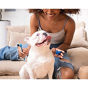 Paw Ready Pet Toothbrushing Assistant for Dogs and Cats Allows You to Brush Your pet’s Teeth Without Constantly Worrying About Getting Bitten Medium Size for Pets Between 15-85 lbs. (7-38.5 Kg)