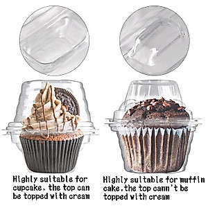 NPLUX 25 Pack Individual Cupcake Containers Plastic Cupcake Boxes Cupcake Holders Stackable Deep Dome Cupcake Carrier