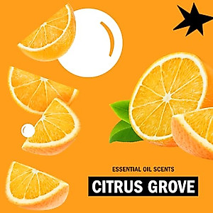 Molly's Suds Laundry Detergent Pods | Clean Detergent for Sensitive Skin | Ultra Concentrated and Stain Fighting | Citrus Grove - 60 Count