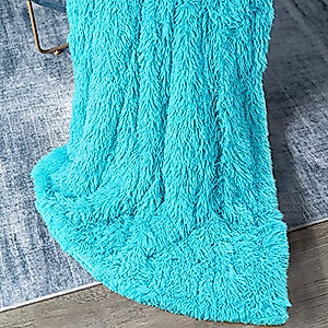 Andecor Soft Fluffy Faux Fur Throw Blanket - 50 x 60 Inches Plush Lightweight Warm Shaggy Fleece Blankets for Bed Couch Sofa Chair Home Decorative, Teal Blue