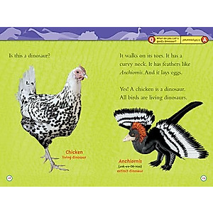 Dinosaurs (National Geographic Kids Readers, Level 1)