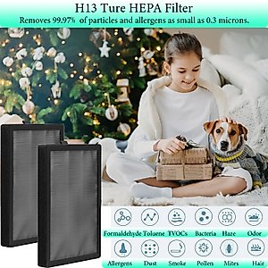 KF250 Filter Replacement,Compatible with Kenmore KF250 1200e Series Air Purifier PM2010, 3-IN-1 H13 True HEPA Replacement Filter,Part No. KF250,2-Pack