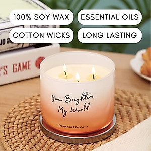 Orange Goji Eucalyptus Scented Candle 3 Wick | Aromatherapy Stress Relief Eucalyptus Energy Candle | Highly Scented Soy Candles Clean Burn 15.8 oz | You Brighten My World Candle Gifts for Men & Women