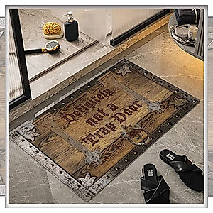 KIYIYZER Definitely Not A Trap Door Door Mat Funny Entrance Welcome Outdoor Indoor Mats Home Decor Housewarming Gift 17 x 30 Inches
