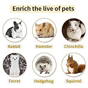 BNOSDM Rabbit Scratch Board, 2 Pack Bunny Scratching Pad Hamsters Nail Scratch Pad Natural Wood Small Animals Grinding Claw Chew Toys for Chinchillas Guinea Pigs Hedgehog Ferret Claws and Teeth Care