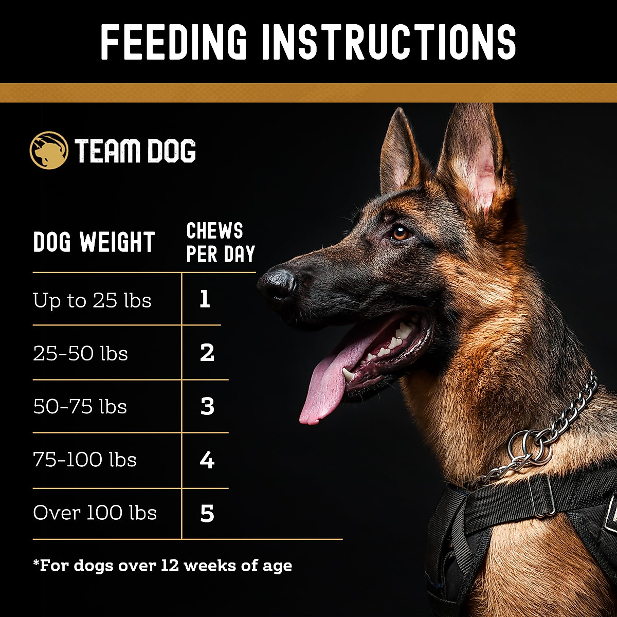 TEAM DOG Hip and Joint Chews for Dogs | Arthritis & Joint Support Supplements for Dogs | MSM, Chondroitin & Glucosamine for Dogs | Small, Medium & Large Breed | Chicken, Duck & Pea Flavor | 120 Count