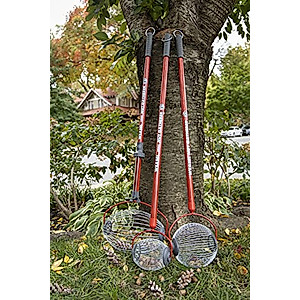Garden Weasel Nut Gatherer 95404 - Large Nut Gatherer - Yard Roller - Picks up Walnuts, Small Fruits, Sweet Gum Balls, and Magnolia Seeds from 1.5” to 3”