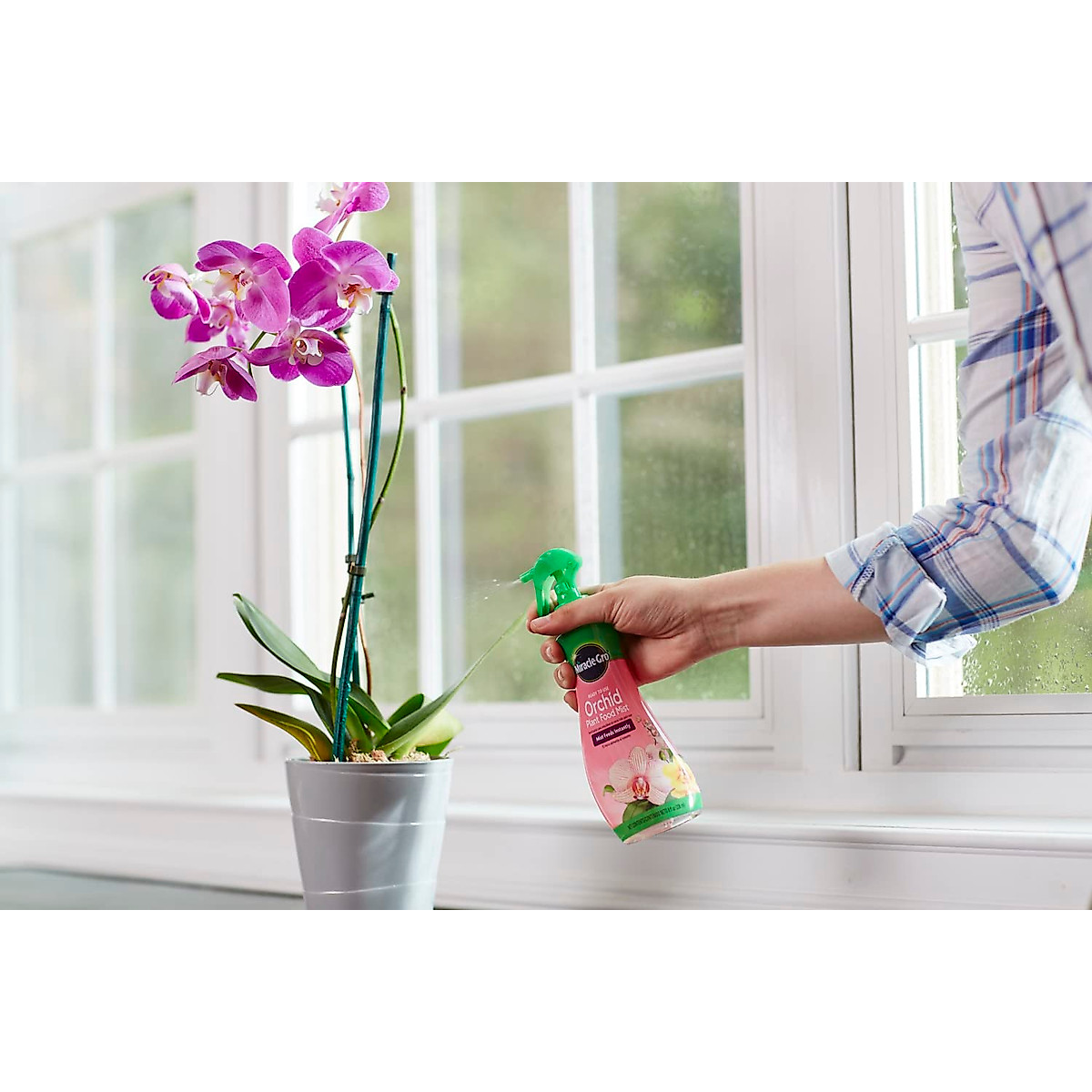 Miracle-Gro Ready-To-Use Orchid Plant Food Mist, 8 oz., Orchid Food Feeds Plants Instantly, 2-Pack