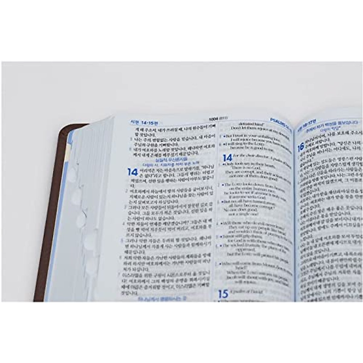 아가페 쉬운 한영성경 NLT (네이비/중/단본/색인/무지퍼) Easy Korean English NLT Bible Navy Middle Size Index Non-Zipper