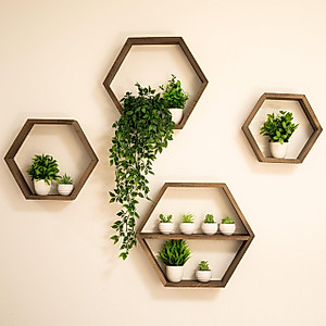 Farm and Posh Large Hexagon Floating Shelves Set of 4 – Honeycomb Shelf, Crystal Display Shelf, Wood Hexagon Wall Shelves, Farmhouse Display Shelves for Hexagon Wall Decor (Dark Walnut)