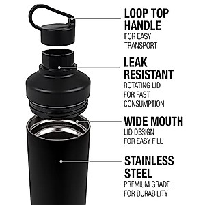House of The Dragon OFFICIAL Scale Emblem 18 oz Insulated Water Bottle, Leak Resistant, Vacuum Insulated Stainless Steel with 2-in-1 Loop Cap